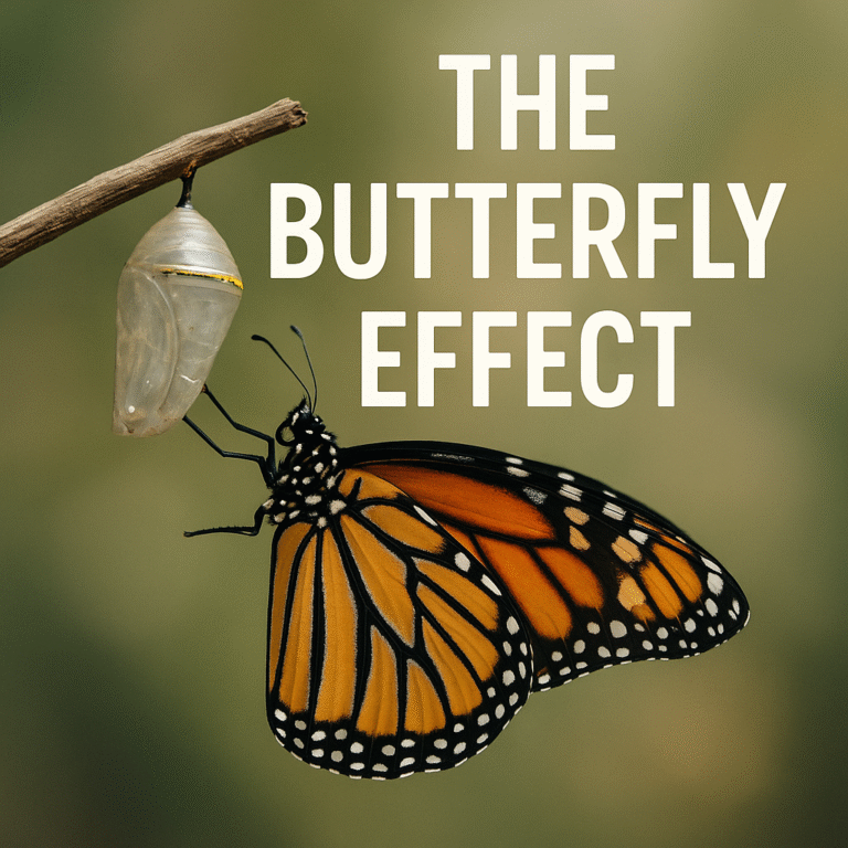 The Butterfly Effect | Coach Matt Rogers